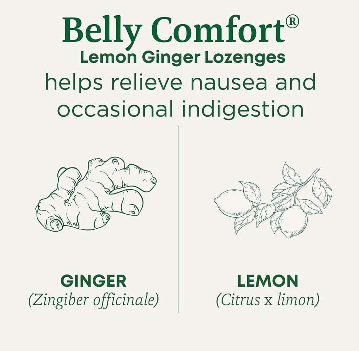 Traditional Medicinals Organic Belly Comfort Lemon Ginger Lozenges ...